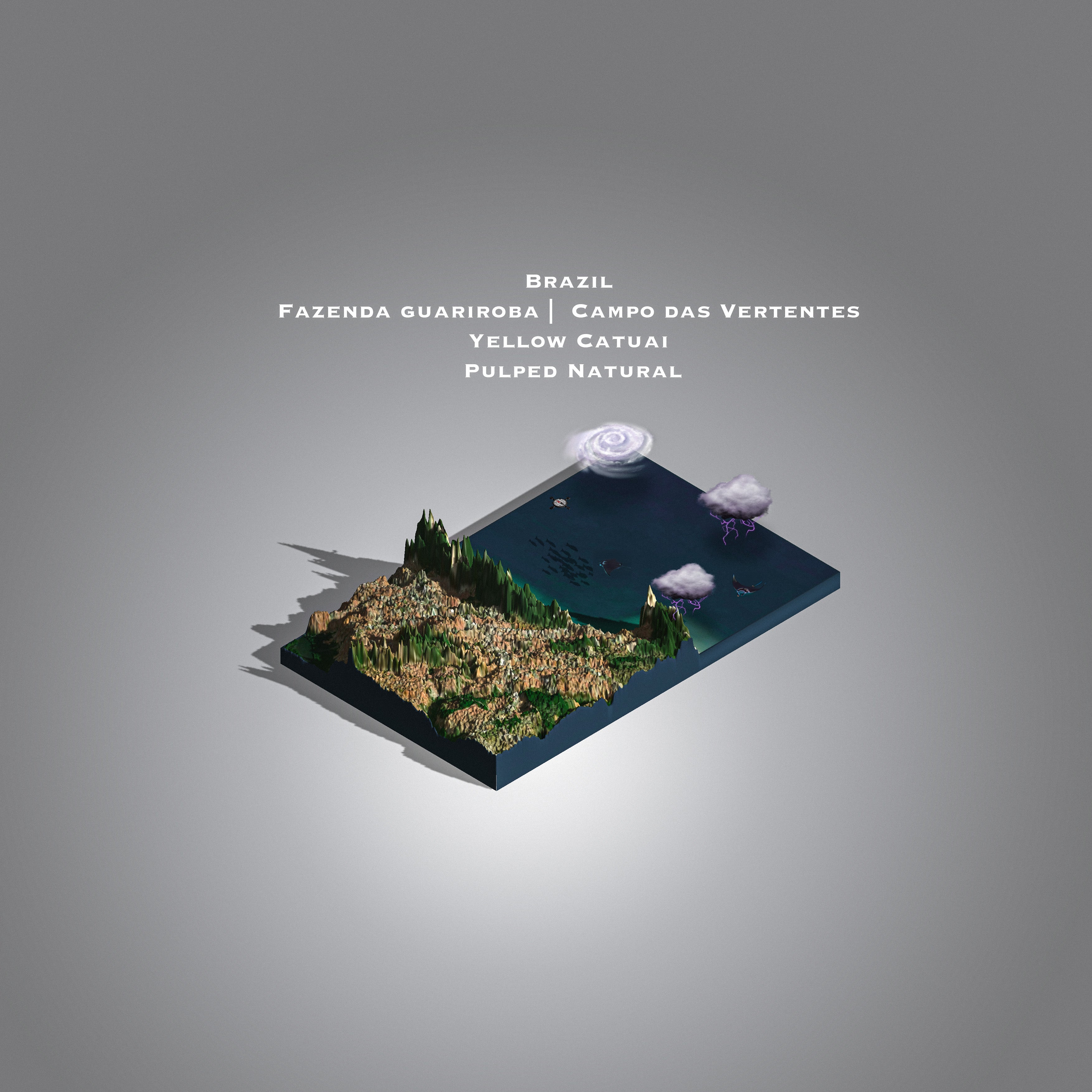 Brazil Fazenda Guariroba| Campo Das Vertentes (Single Origin Espresso ...