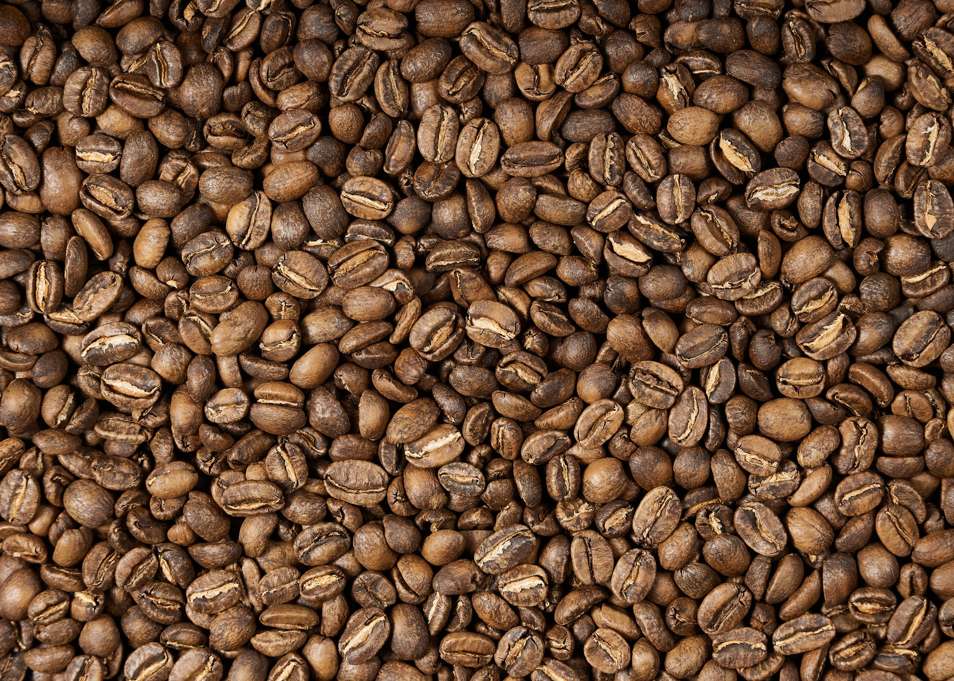 Manta Ray Coffee | Specialty Coffee Roasters Australia