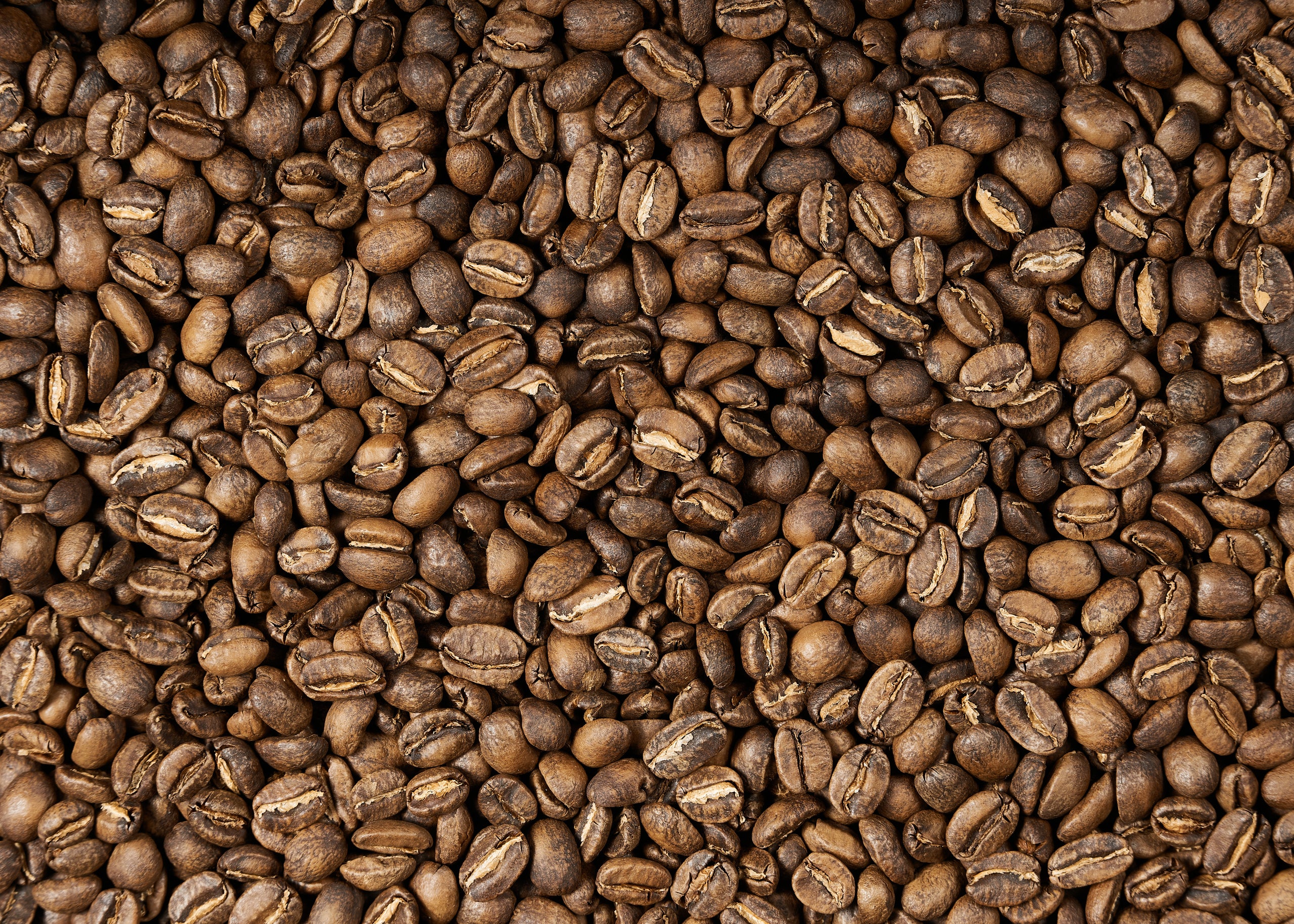 Manta Ray Coffee | Specialty Coffee Roasters Australia